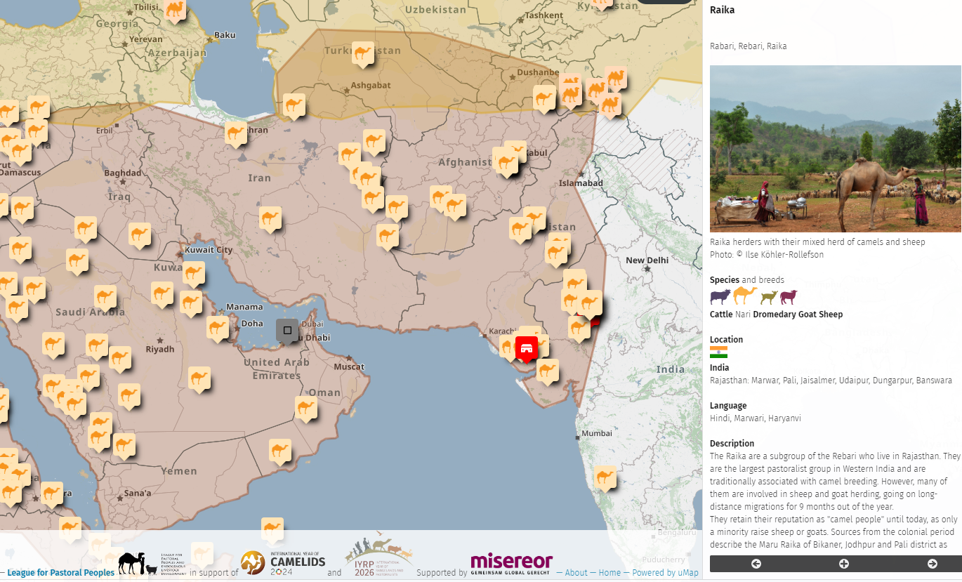 World map of camelids - League for Pastoral Peoples