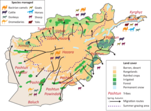 Accounting for pastoralists in Afghanistan - League for Pastoral Peoples